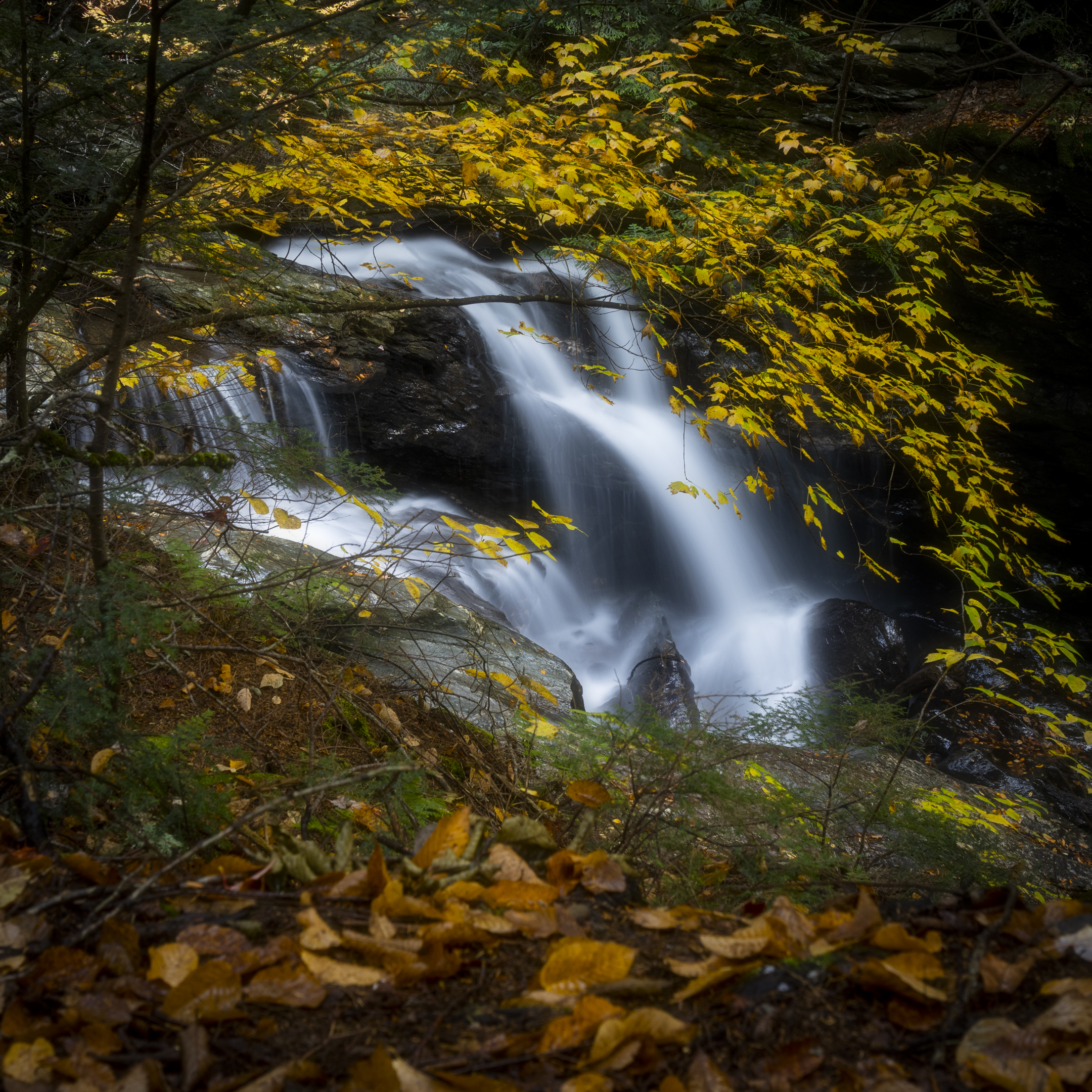 Bingham Falls – Copyright 2025 Philip Colet