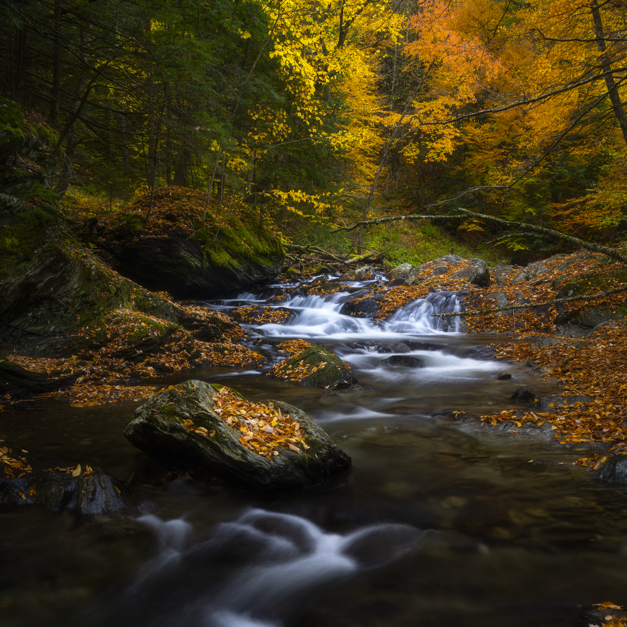 Bingham Falls – Copyright 2025 Philip Colet