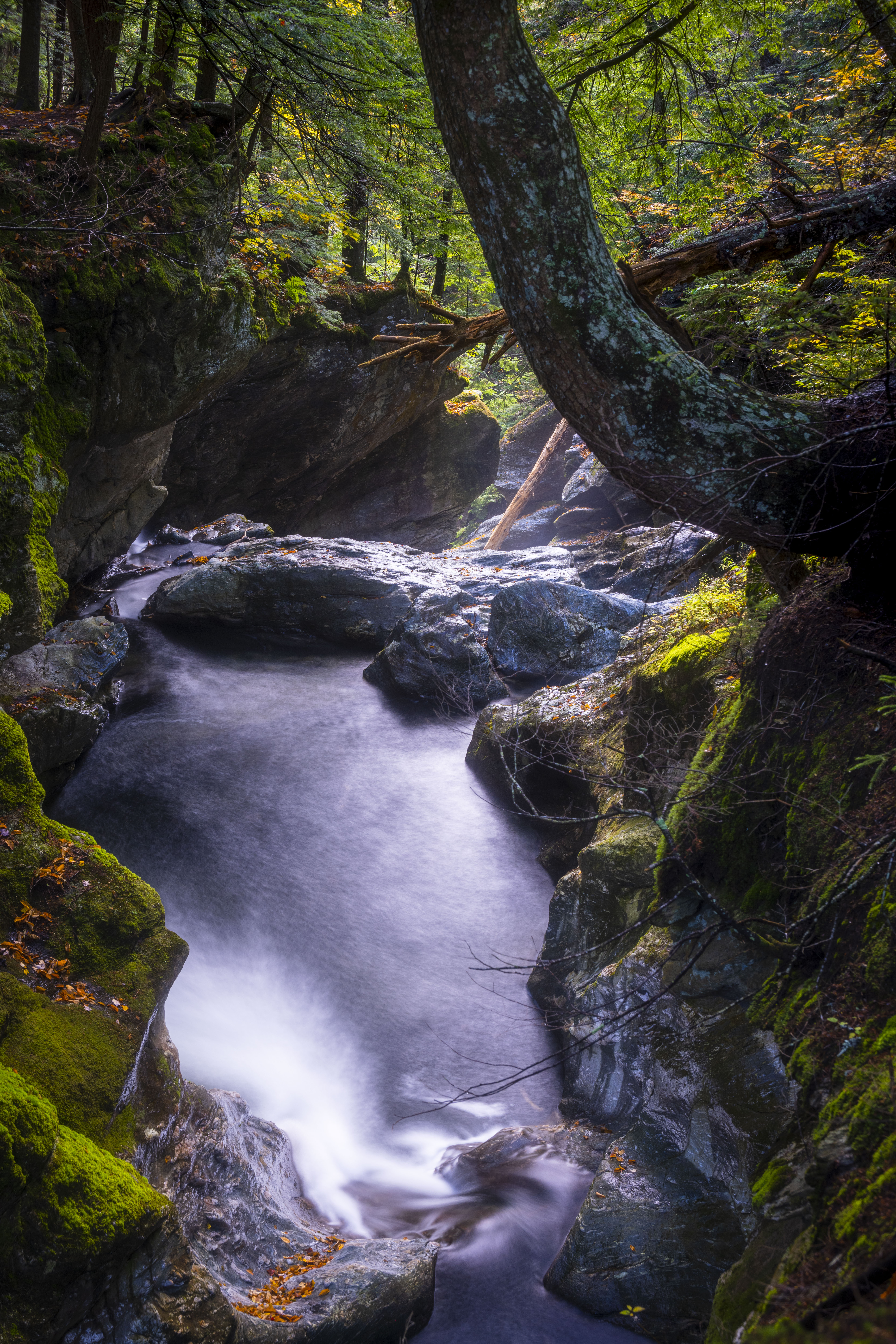 Bingham Falls – Copyright 2025 Philip Colet